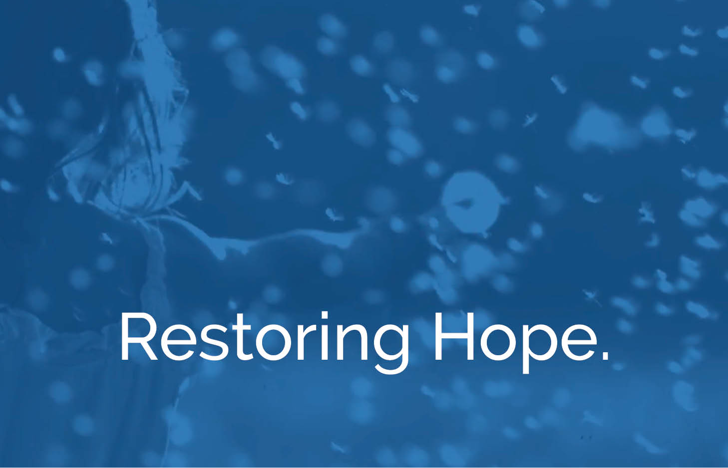 Home - Shalem Network